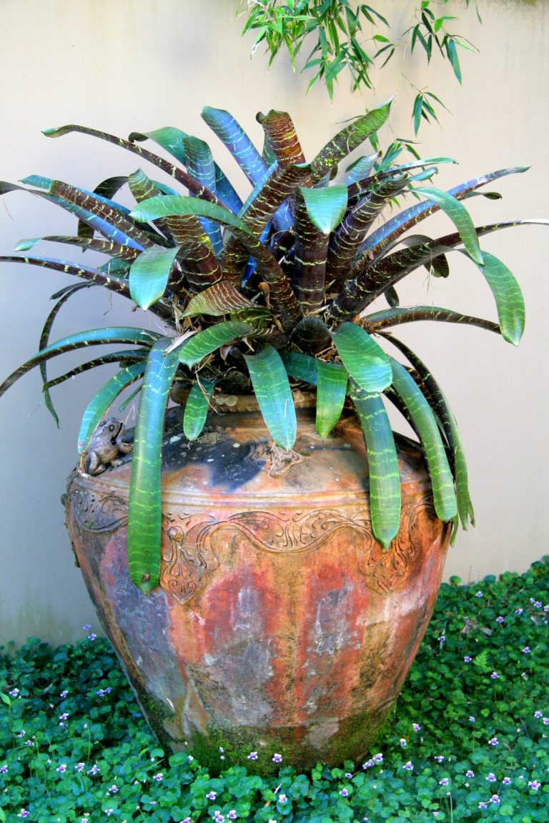 Our Pot styling projects - Garden Expressions