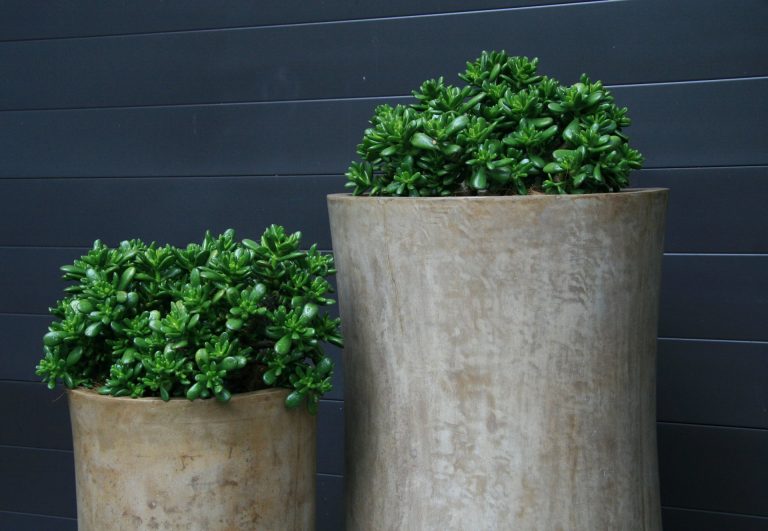 Our Pot styling projects - Garden Expressions