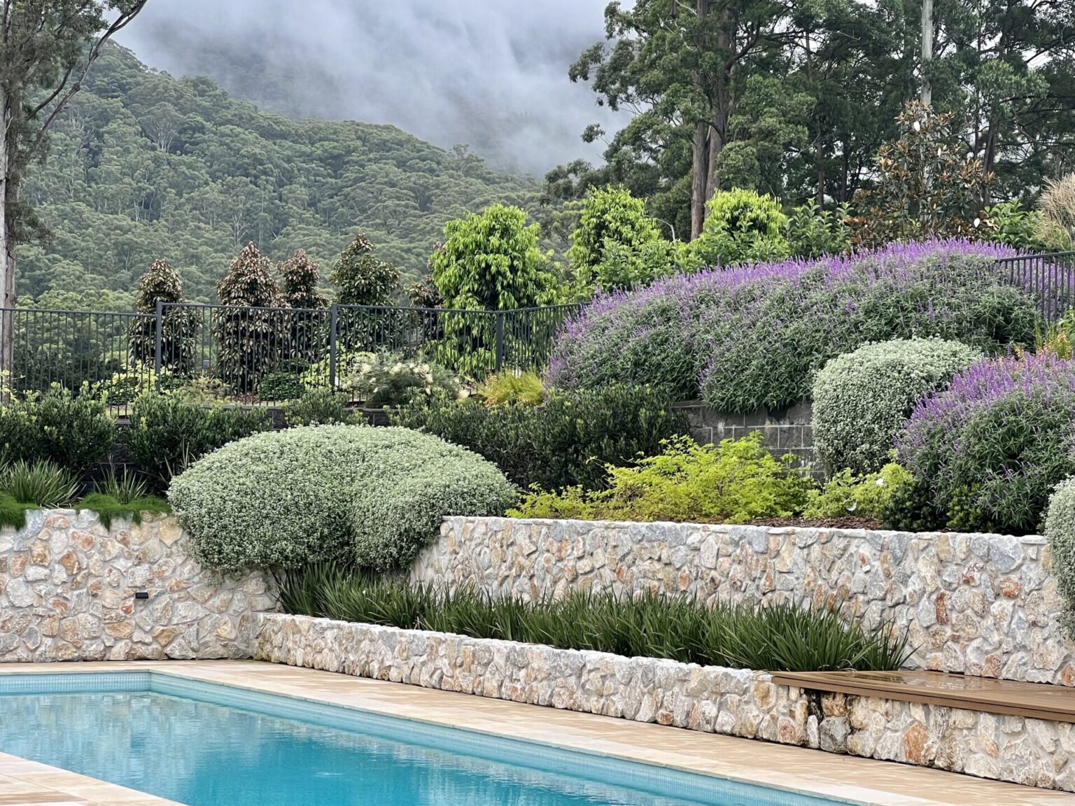 HIDDEN VALLEY - Garden Expressions